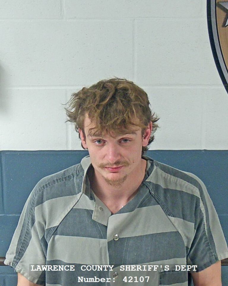 Mitchell man arrested after welfare check leads to protective order ...