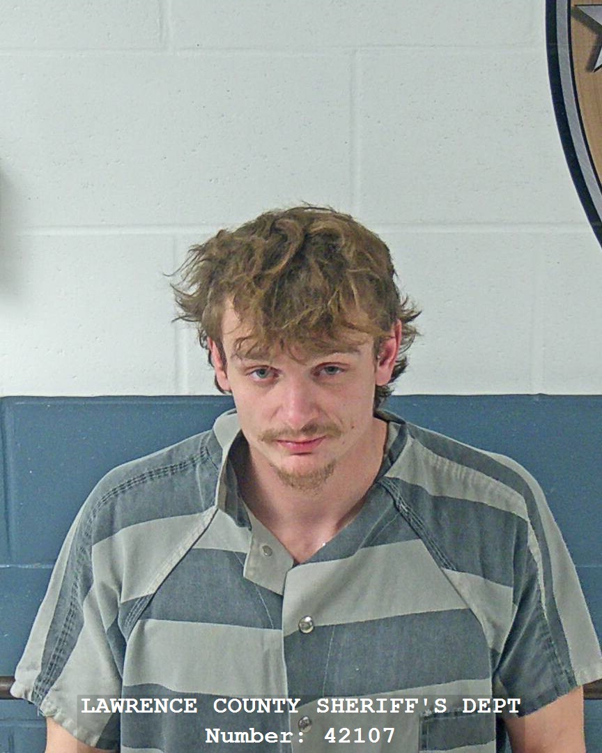 Mitchell man arrested after welfare check leads to protective order ...