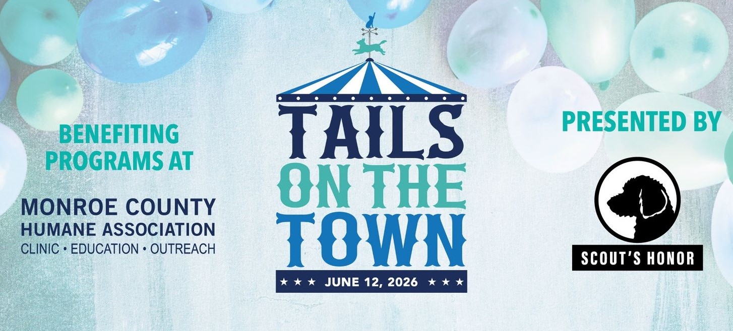 Tails on the Town fundraiser looks beyond tornado recovery to help ...