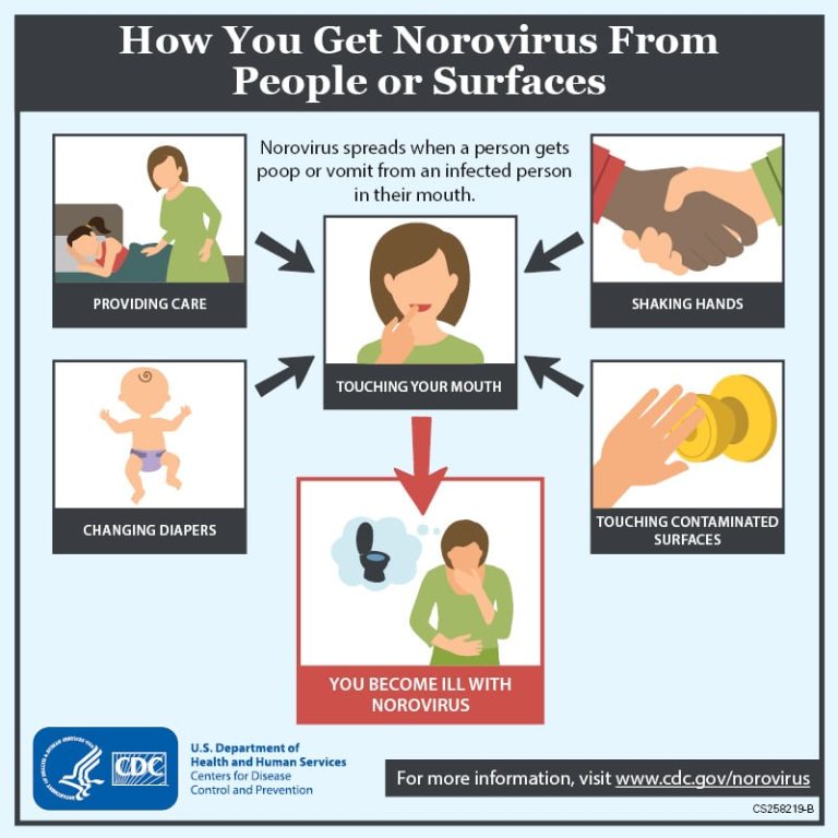 Indiana health officials issue warning as Norovirus outbreaks surge ...