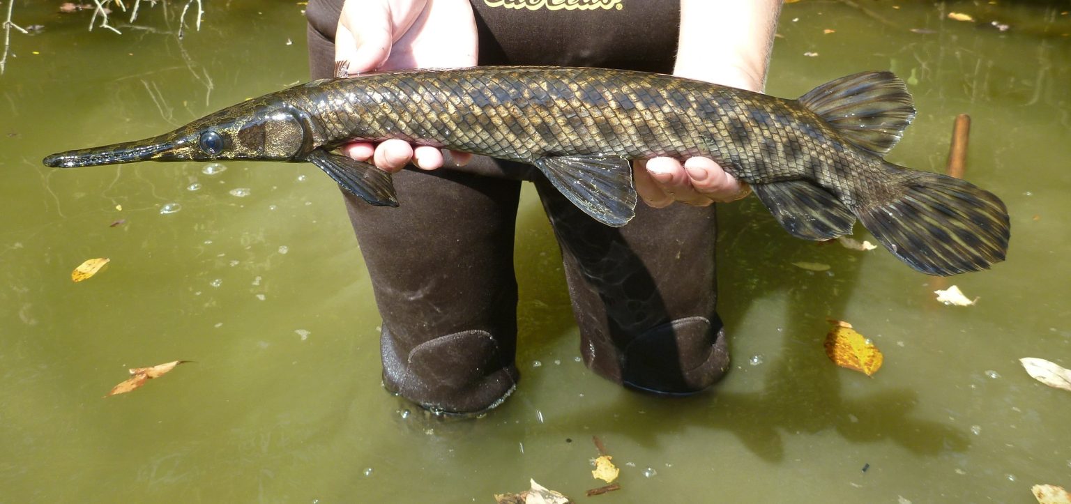 DNR biologists take to the water to track the long-term health of ...