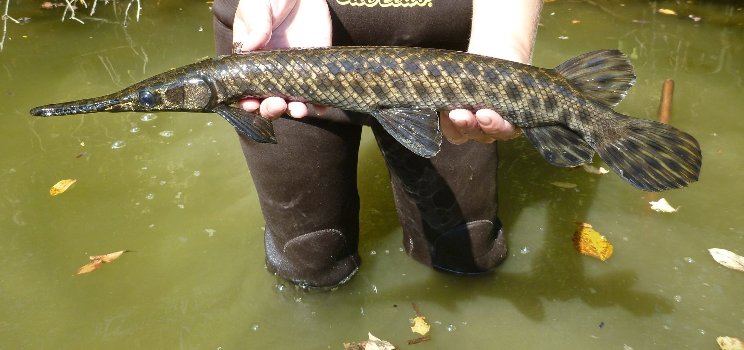 DNR biologists take to the water to track the long-term health of ...